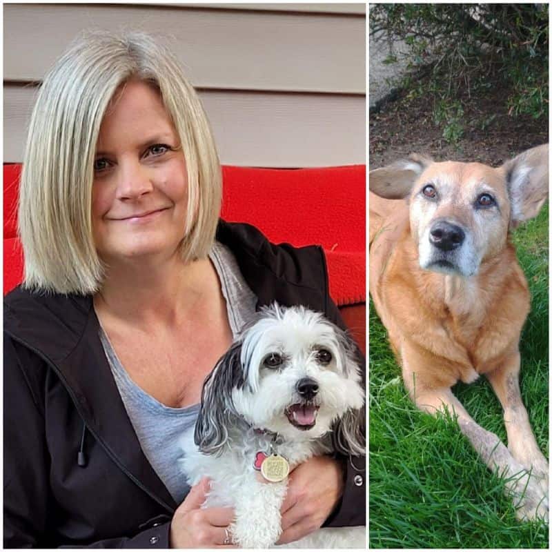 Meet Our Team - Lower Mainland Dog Walker - Langley, Surrey, Pitt ...